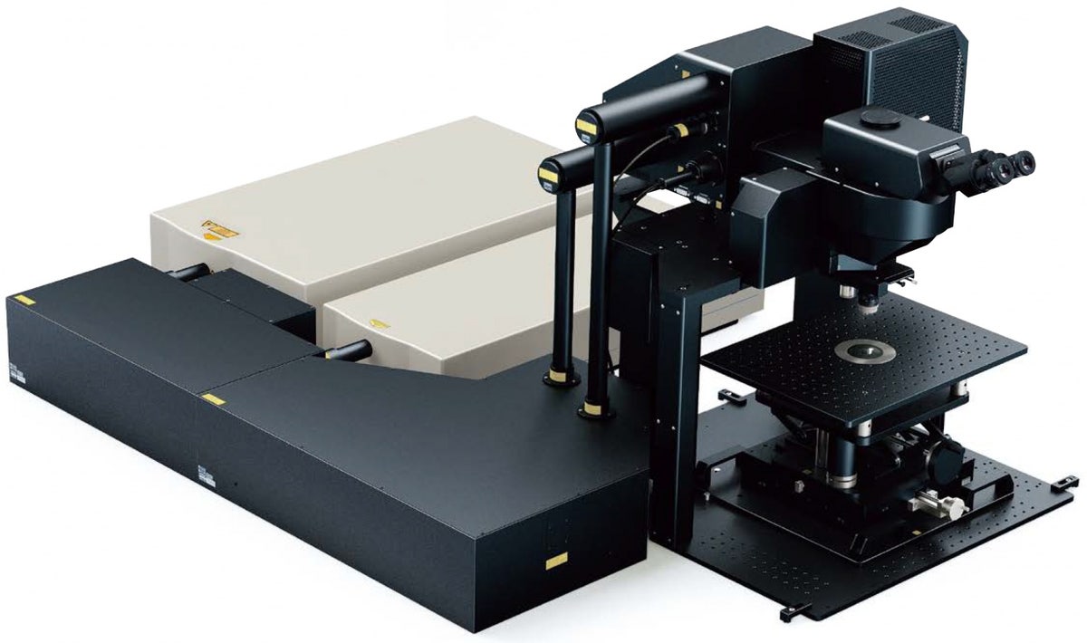 Using Intravital Multiphoton Microscopy to Visualize Dynamic ...