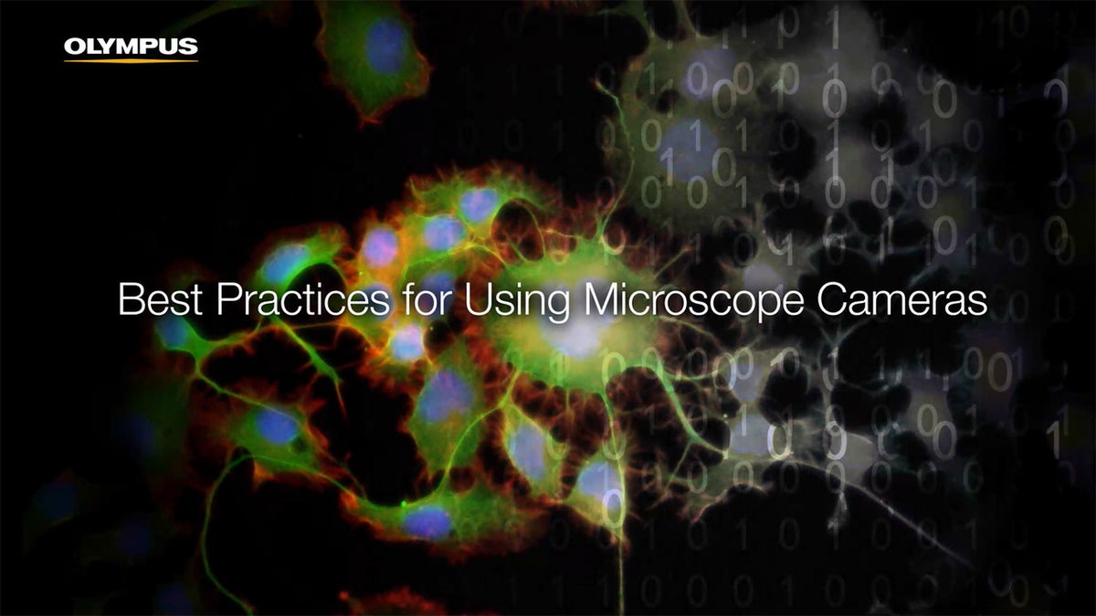Color Cameras for Digital Microscopes | Evident Scientific