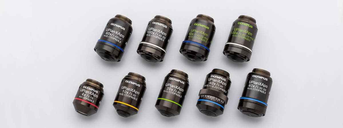 How to Read Microscope Objective Specifications at a Glance | Olympus LS