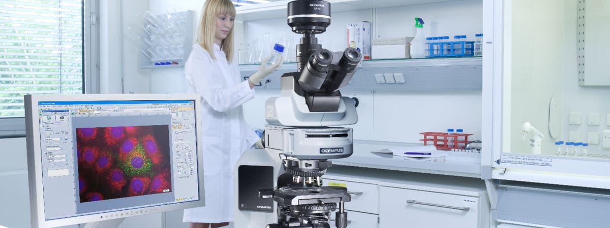 Guidelines for Citing Microscopy in Imaging Publications | Olympus LS