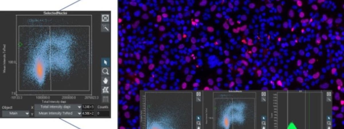Flow vs. Image Cytometry: Comparing Techniques to Evaluate Large Cell ...
