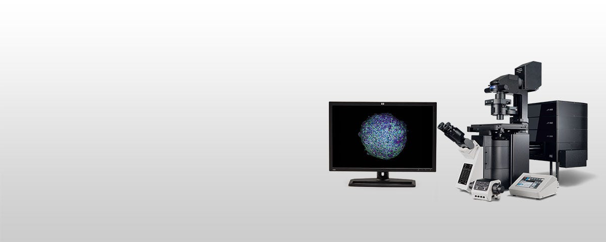 Automated Organoid Imaging and High-Throughput 3D Analysis | Olympus LS