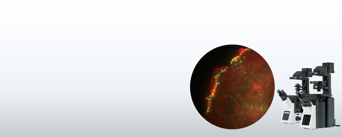 TIRF Imaging | Olympus LS