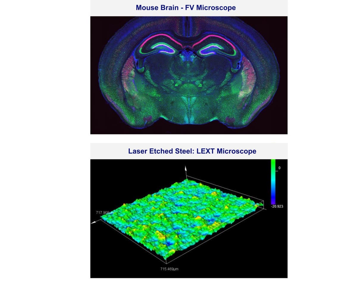 Confocal and Multiphoton Microscopes