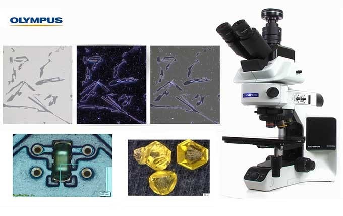 Light Microscopes | Evident Scientific