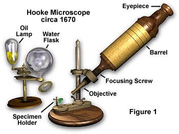 Anatomy of a Microscope