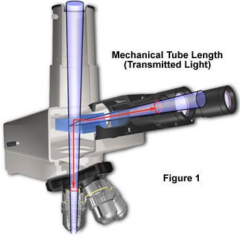Mechanical Tube Length