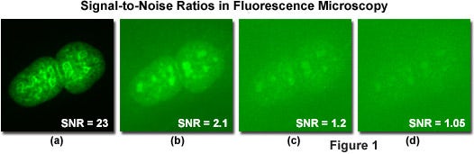 CCD Noise Sources and Signal-to-Noise Ratio
