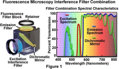 Basic Aspects of Light Filters