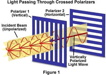 polarized light examples