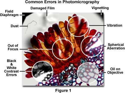 Troubleshooting Microscope Configuration and Other Common Errors