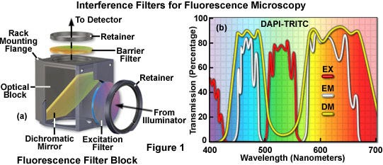 Interference Filters for Fluorescence Microscopy