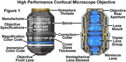 Confocal Microscope Objectives