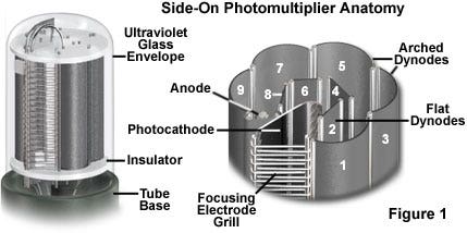 Electronic Light Detectors: Photomultipliers