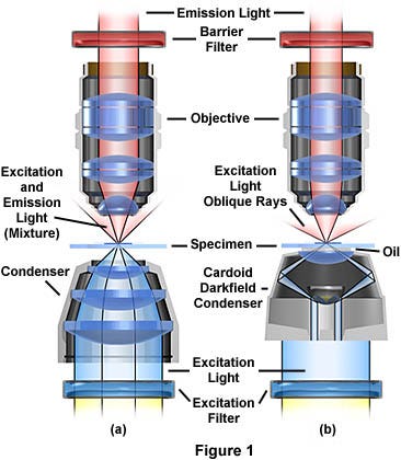 Transmitted Light Illumination