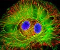 The Evident Scientific Microscopy Resource Center | Evident Scientific