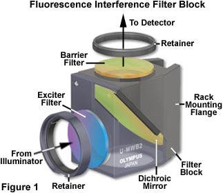 Fluorescence Filters