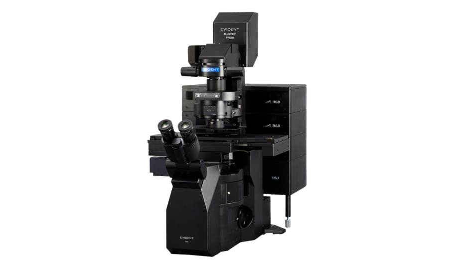 Confocal Microscopy: Complete Resource Hub for Theory & Practice | Evident