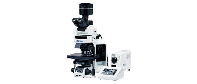 Fluorescence Microscopes | Evident Scientific