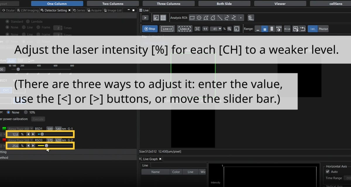 FLUOVIEW™ FV4000 How-To Series: Acquire a Multi-Area Time Lapse Image