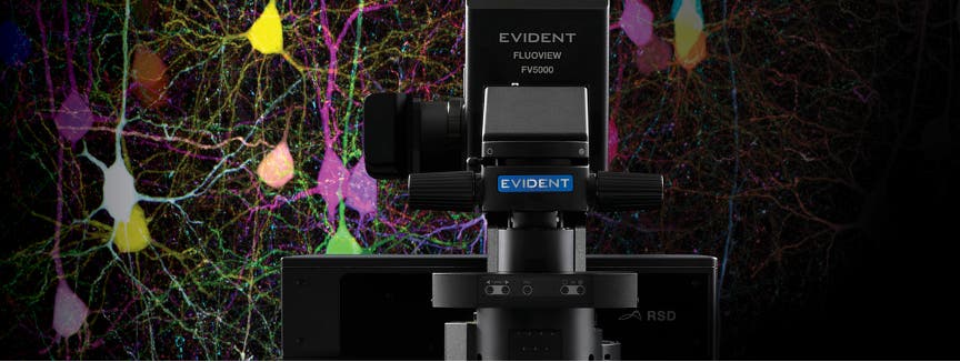Innovaciones en microscopía: FLUOVIEW FV5000 Redefine los límites de la ...