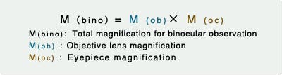 What is the Total Magnification? | Learn about Microscope | Olympus