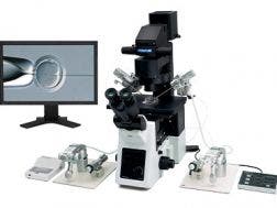 IVF/ICSI | Olympus LS