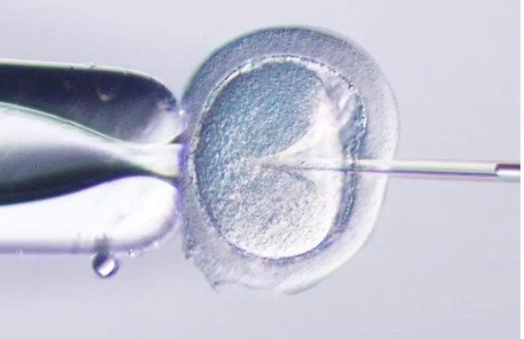 Microscopes inversés | Evident Scientific