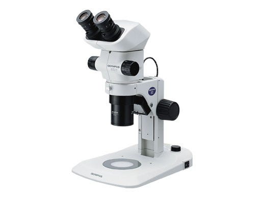 Microscopes de dissection | Olympus LS