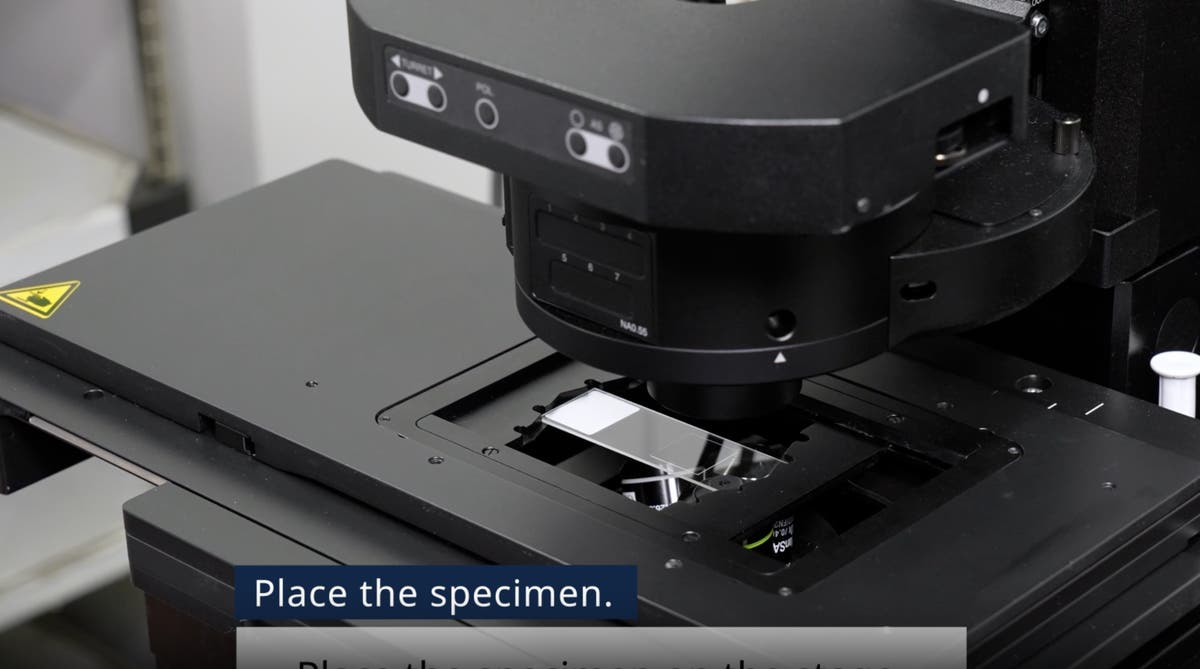 Série de tutoriels sur le microscope FLUOVIEW™ FV4000 – Observation ...