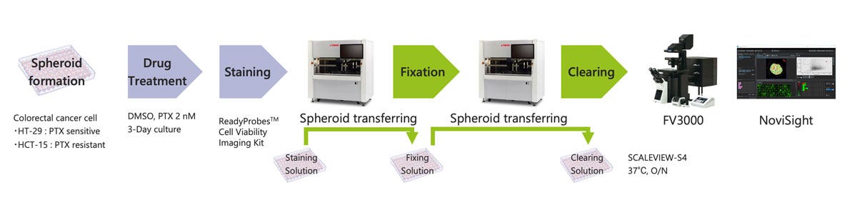 Automating the Drug Screening Process—from Cancer Spheroid Preparation ...