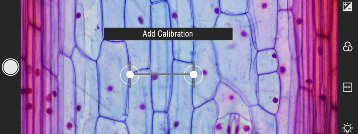 How to Calibrate Your Microscope Camera: Precise Measurement Starts ...