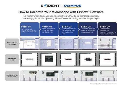 How to Calibrate Your Microscope Camera: Precise Measurement Starts ...