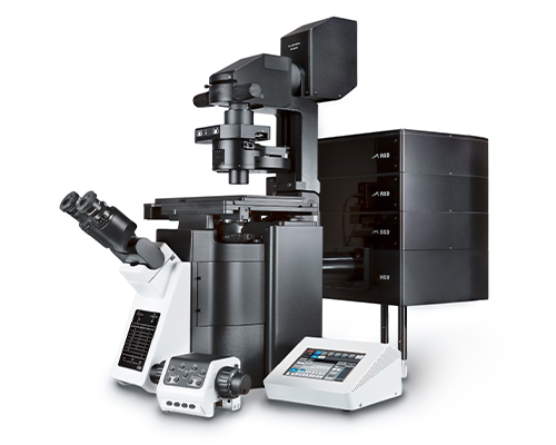 Evident Scientific | Life Science and Industrial Microscope Solutions