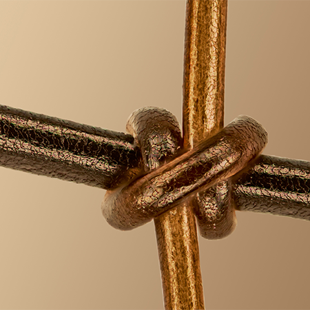 Evident Scientific | Life Science and Industrial Microscope Solutions