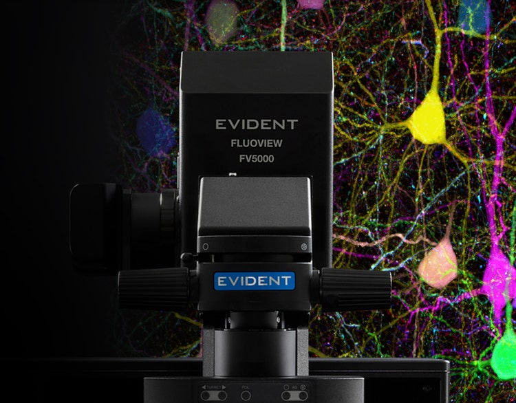Evident Scientific | Life Science and Industrial Microscope Solutions