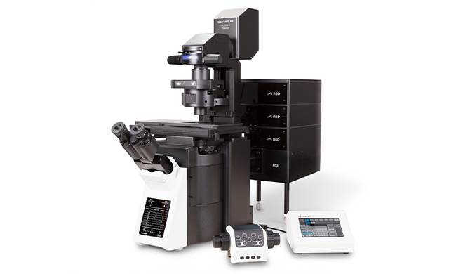 Evident Scientific | Life Science and Industrial Measurement Solutions