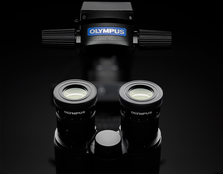 Evident Scientific | Life Science and Industrial Microscope Solutions