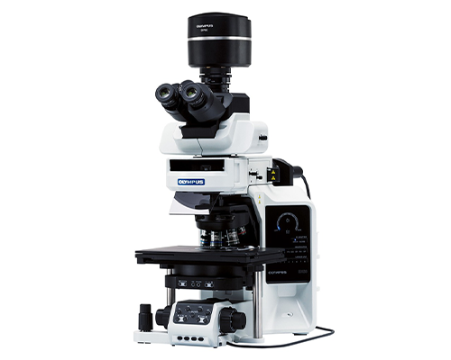 Evident Scientific | Life Science and Industrial Microscope Solutions