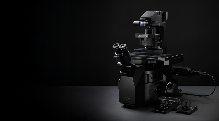 Evident Scientific | Life Science and Industrial Microscope Solutions