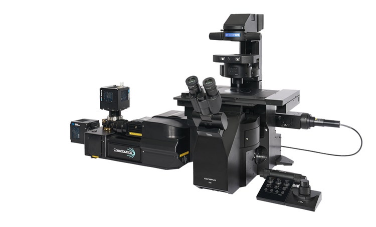 Evident Scientific | Life Science and Industrial Microscope Solutions