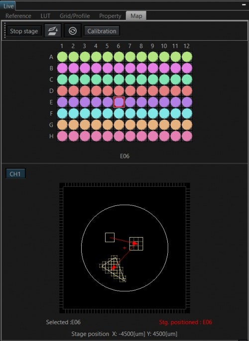 使用 Olympus FLUOVIEW FV3000 和 TruFocus Z 轴偏移补偿系统扩展细胞运动和增殖的延时成像 | Olympus LS