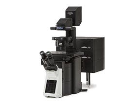 激光扫描共聚焦成像 | 奥林巴斯生物显微镜